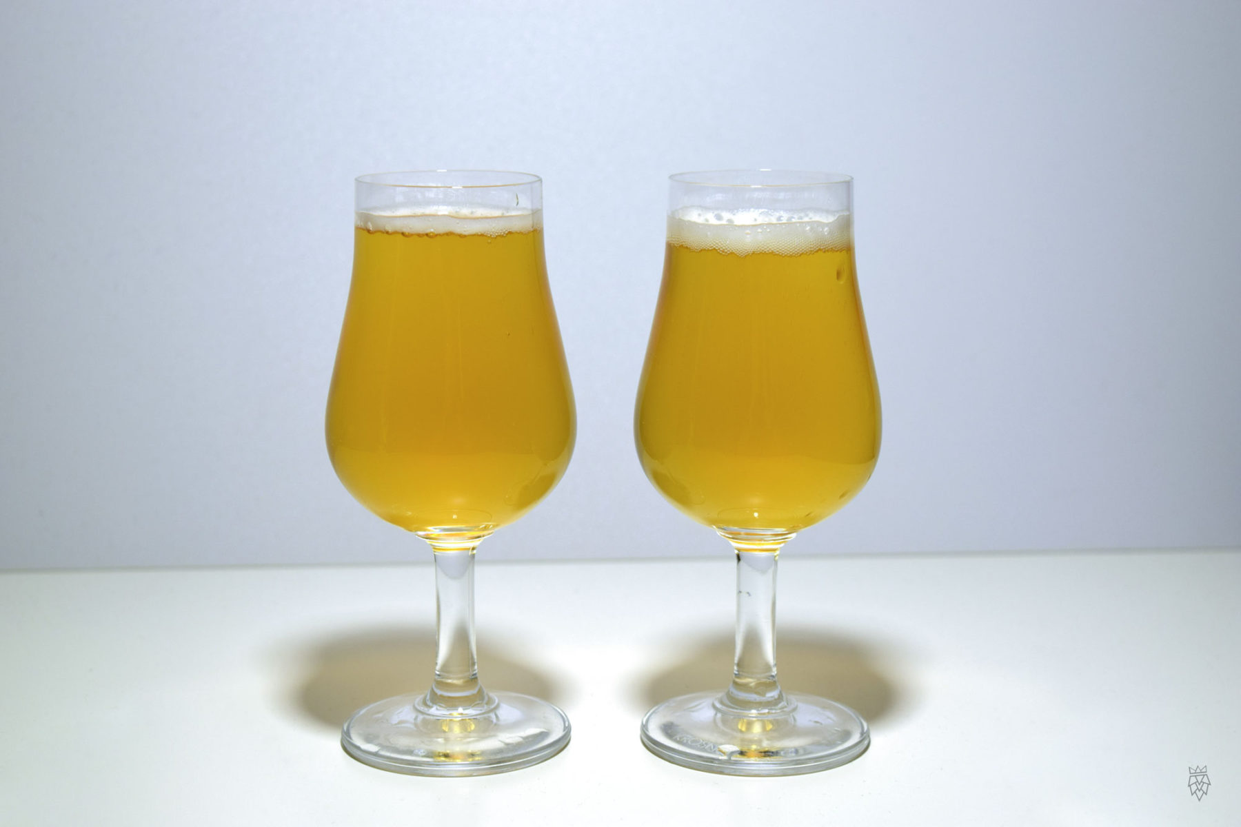 Hop stoppery z Marxam Brewing [Część II]. Test praktyczny. - Chmielokracja